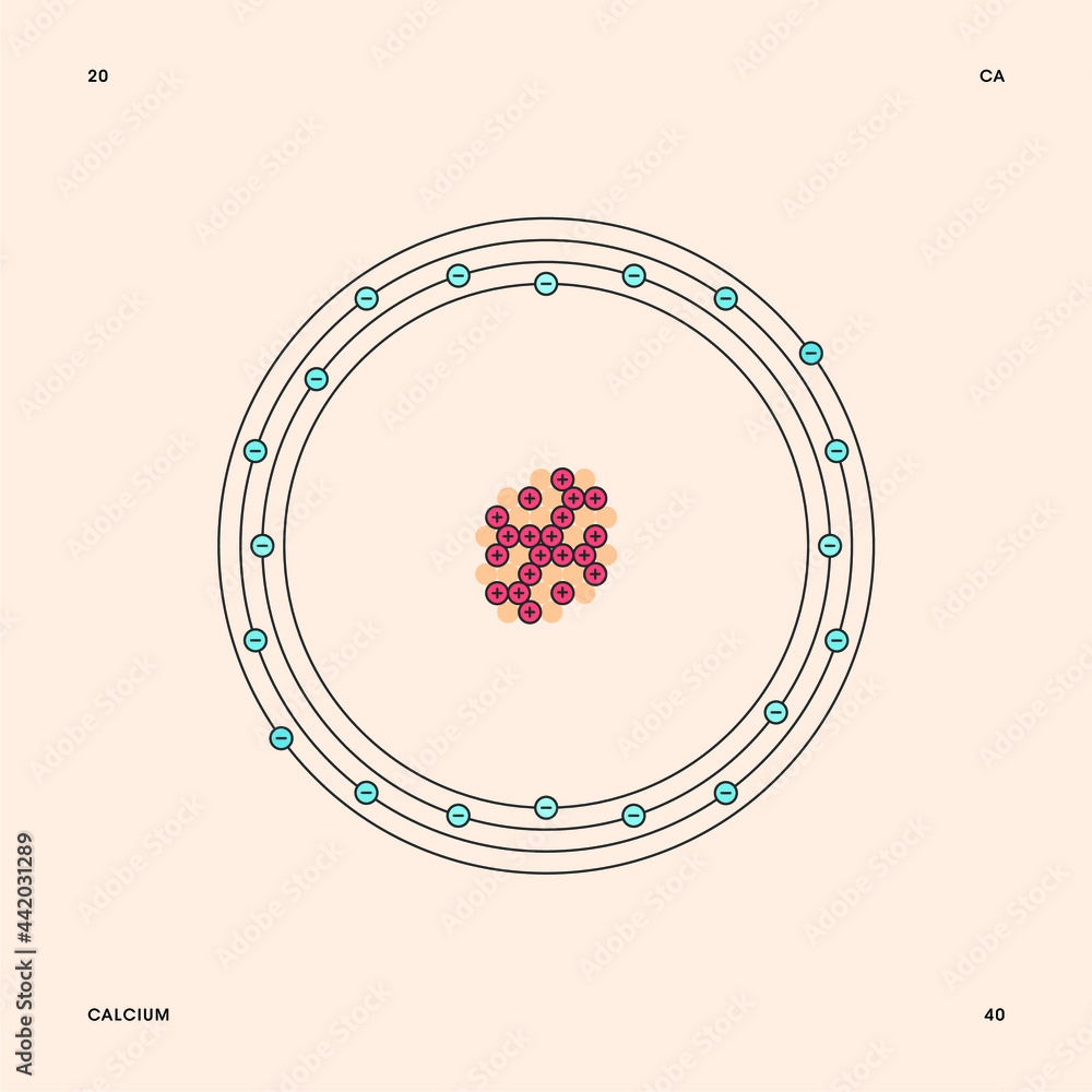 Vecteur Stock Bohr model representation of the calcium atom, number 20 ...