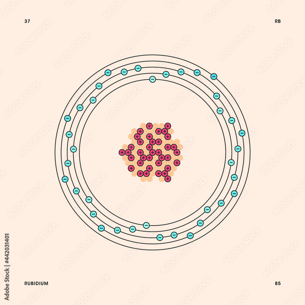 Bohr model representation of the rubidium atom, number 37 and symbol Rb ...