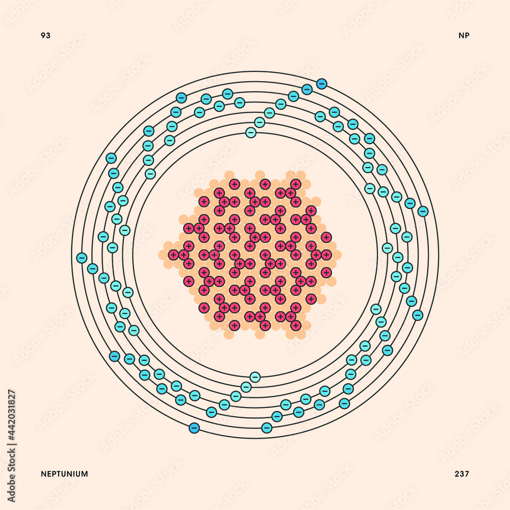 Bohr model representation of the neptunium atom, number 93 and symbol Np. Conceptual vector ...