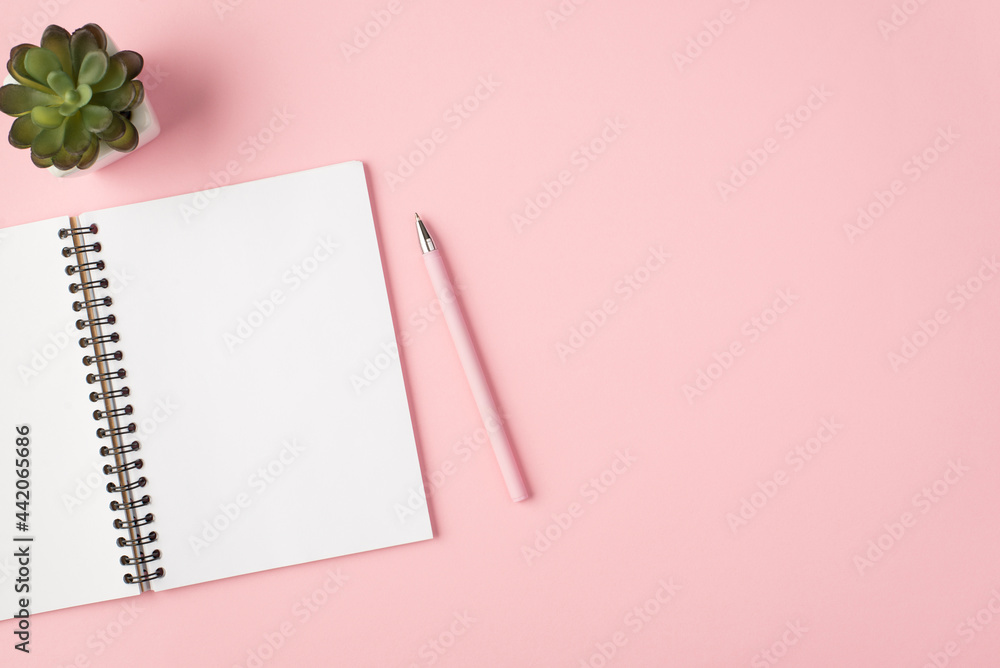 Top view photo of open diary pink pen and flowerpot on isolated pastel ...