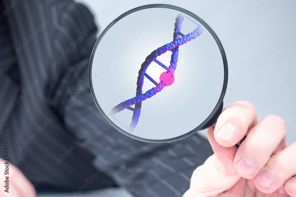DNA damage. Genetic diseases. A person examines a damaged DNA helix ...