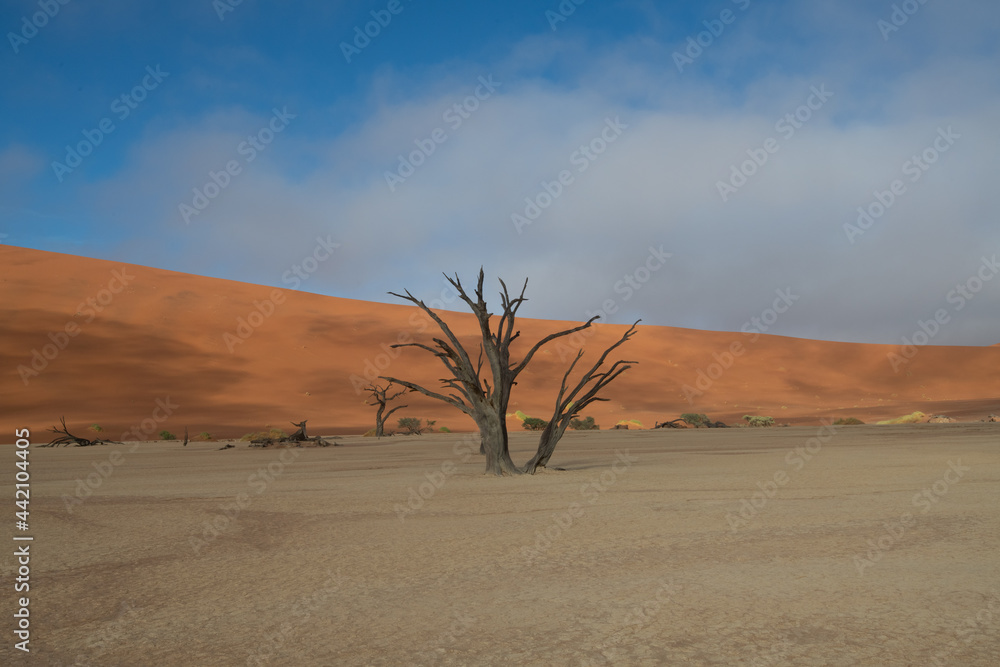 Dead Valley Sossusvlei Namibia Stock Photo | Adobe Stock