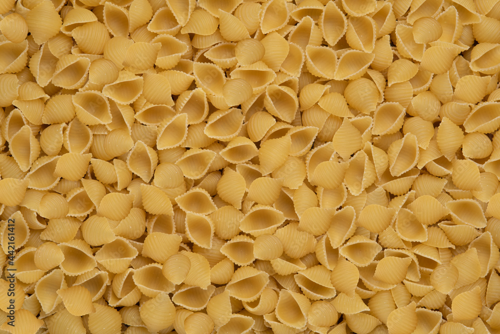 seashell pasta. food background,texture Stock Photo | Adobe Stock
