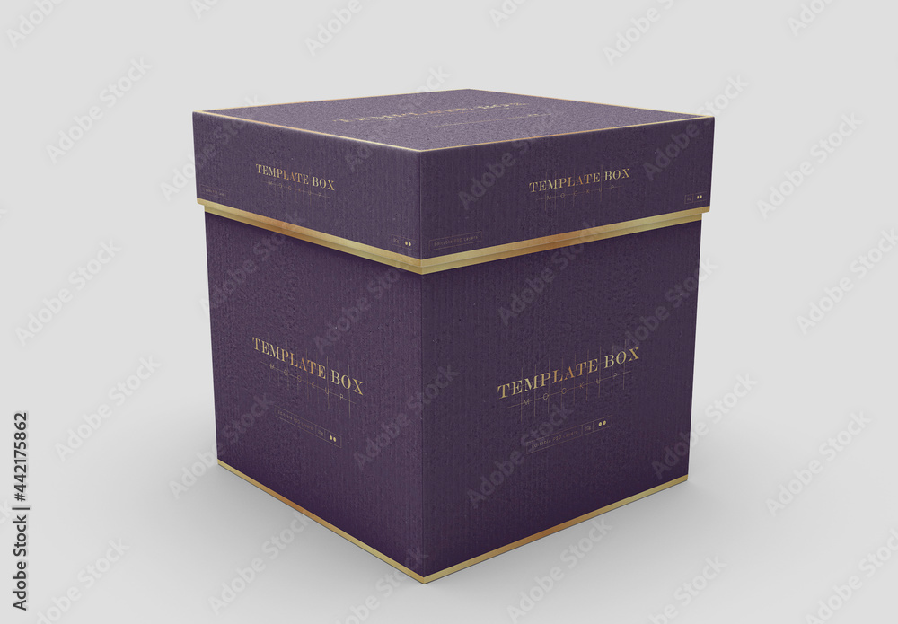 Square Cardboard Box Mockup Stock Template | Adobe Stock