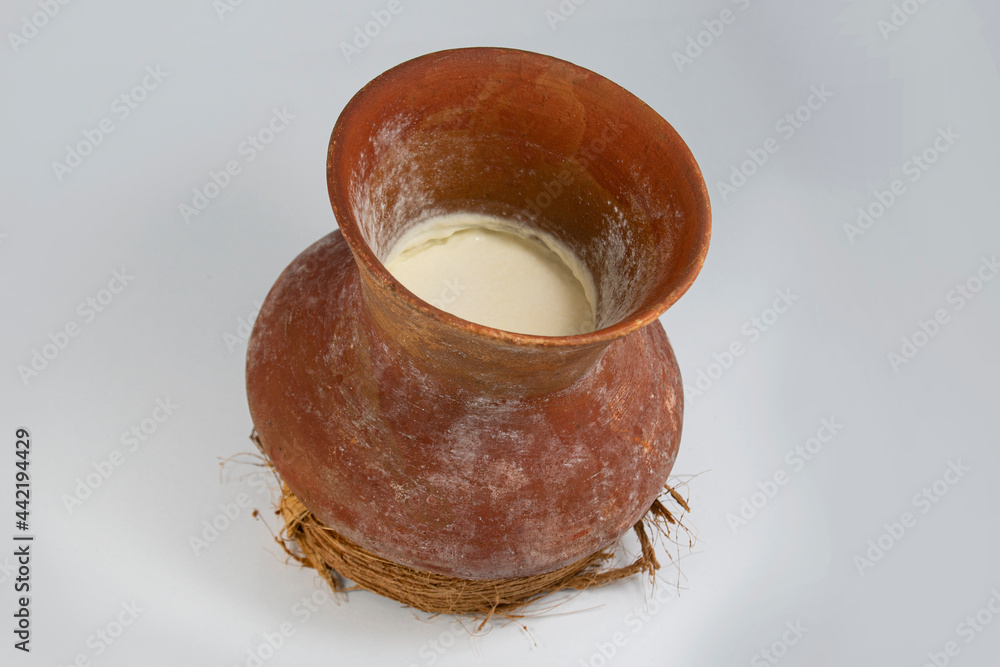 A Traditional clay pot of curd or yogurt placed on coconut fiber base ...