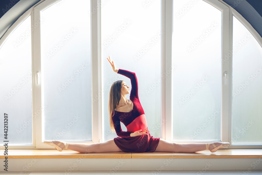 Beautiful young focused ballerina in elegant crimson ballet dress in ...