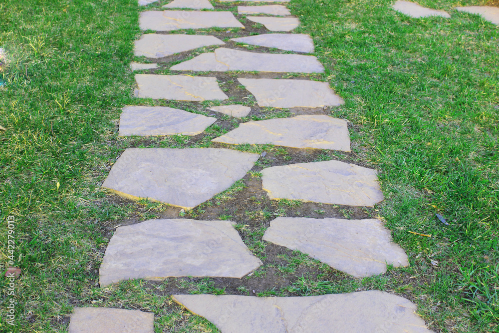 Foto de Gray paving slabs, paved path, among greenery in a shady park ...