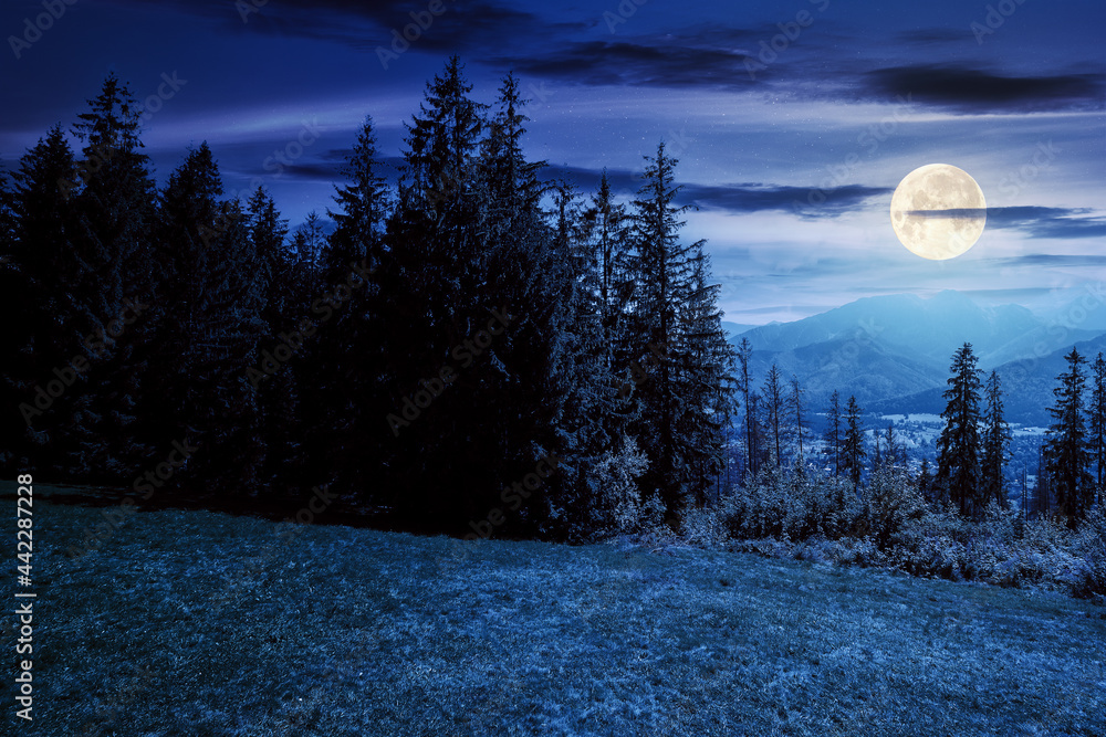 Hillside At Night