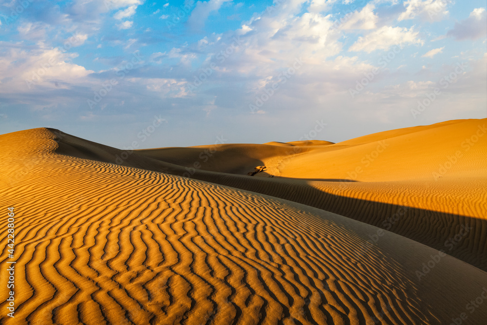 Sand dunes in desert Stock Photo | Adobe Stock