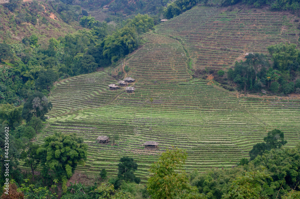 Mountain landscape panorama with rice terraces and field huts of the ...