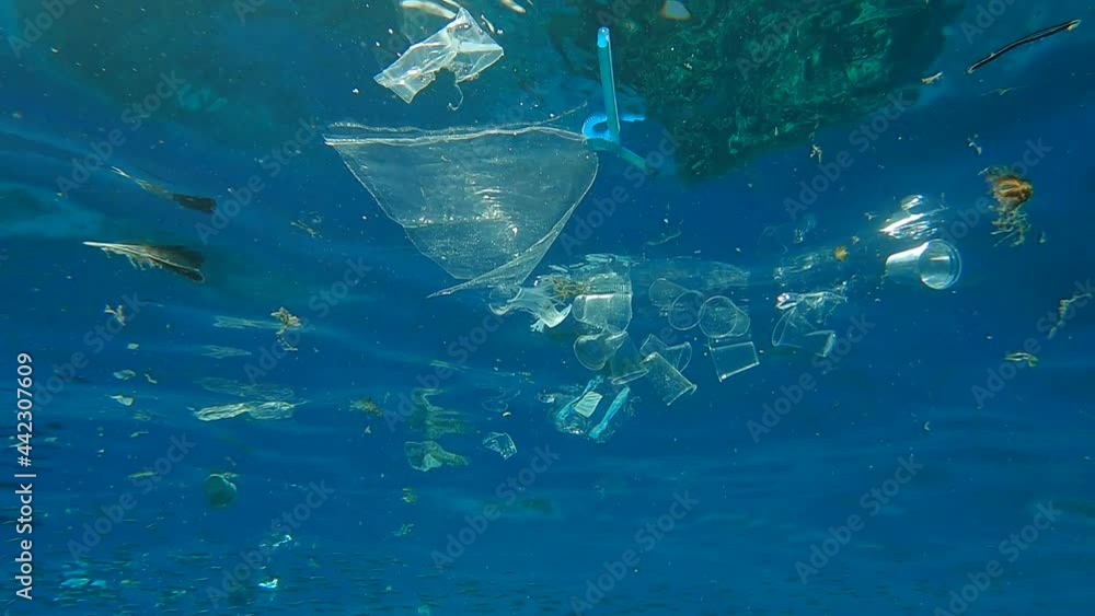 A lot of plastic trash floats in the water along with school of little ...