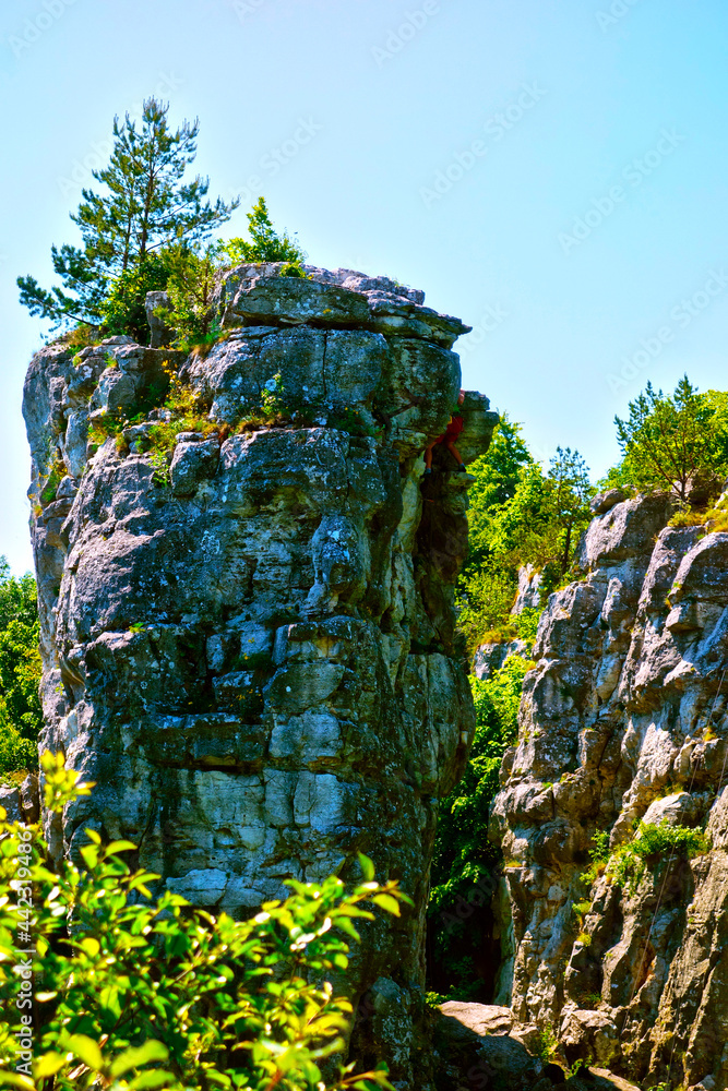 Travertine rock with climber in Dreveník Slovakia, the area is also ...