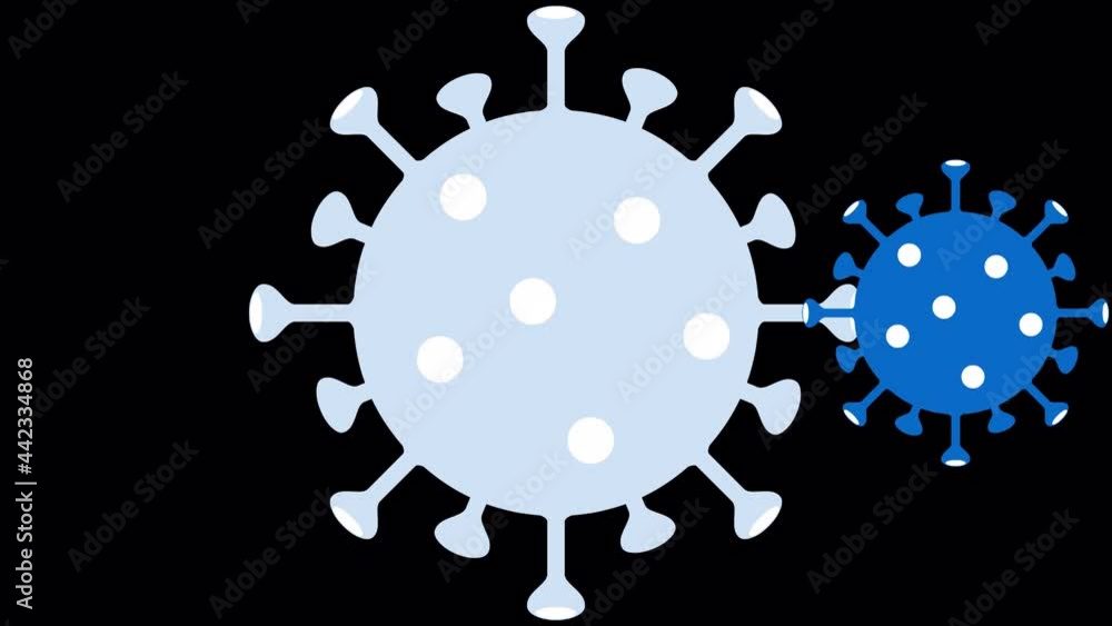 COVID 19, coronavirus bouncing and moving around. 4k video with alpha ...