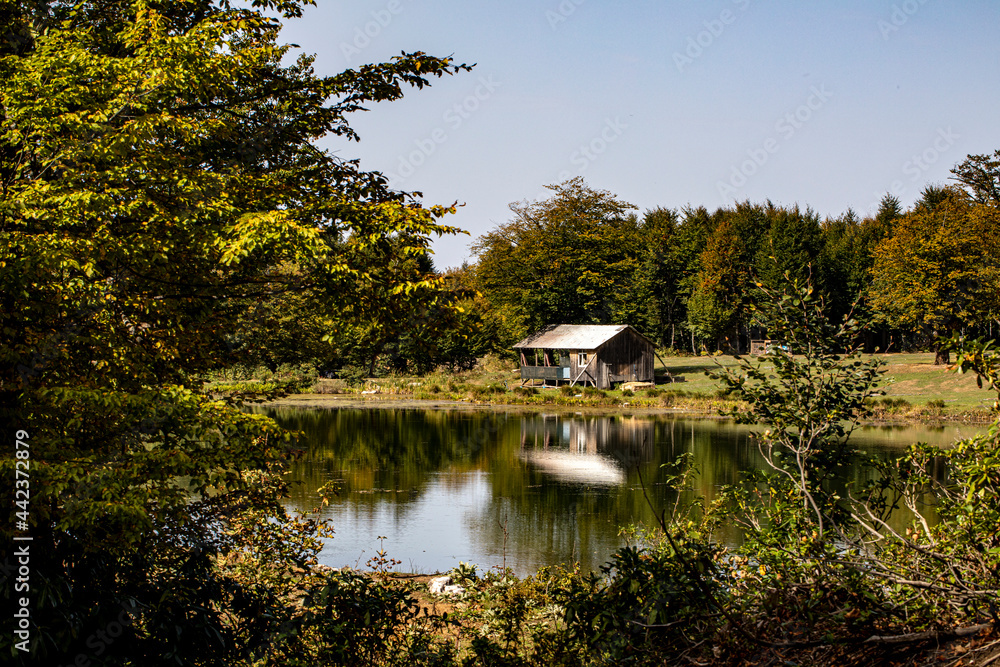 A high-resolution image of the rare nature scene that emerges from the ...