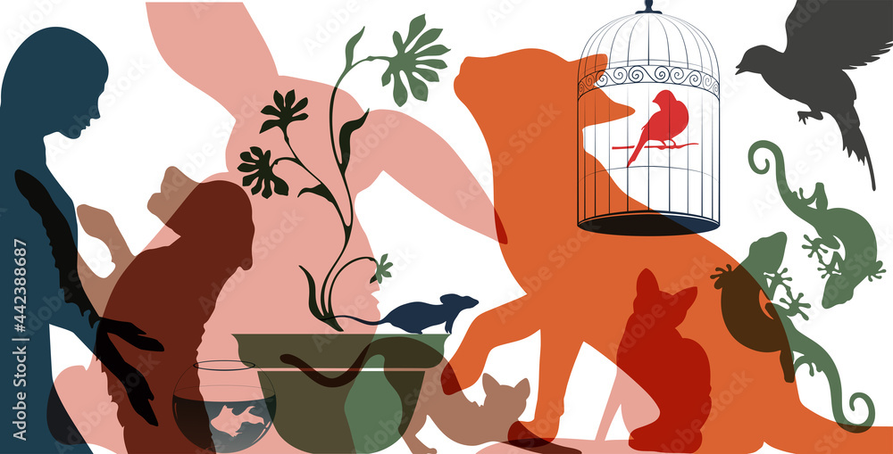 Colorful Silhouette of pets on white background. Vector illustration of ...