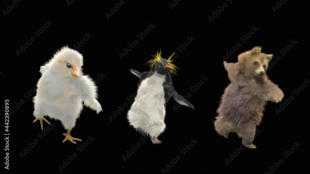Bear and Chick, penguin Dancing, CG fur 3d rendering animal realistic ...