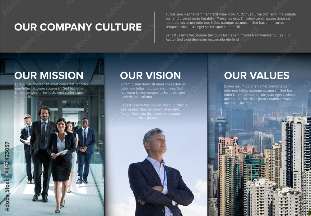 Company Profile Statement – Mission, Vision, Values with Photos Stock ...