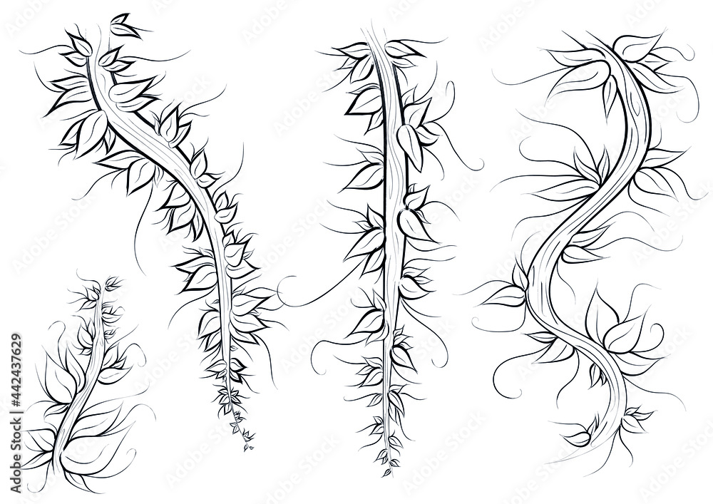 Vetor de Conjunto de ilustraciones vectoriales de enredaderas de ...