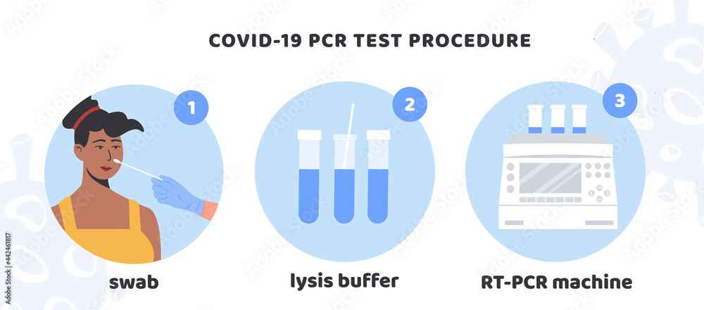 Covid-19 PCR test procedure. A doctor in latex gloves takes nasal swab ...