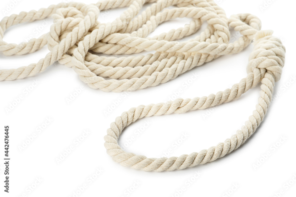 Rope noose with knot on white background Stock Photo | Adobe Stock