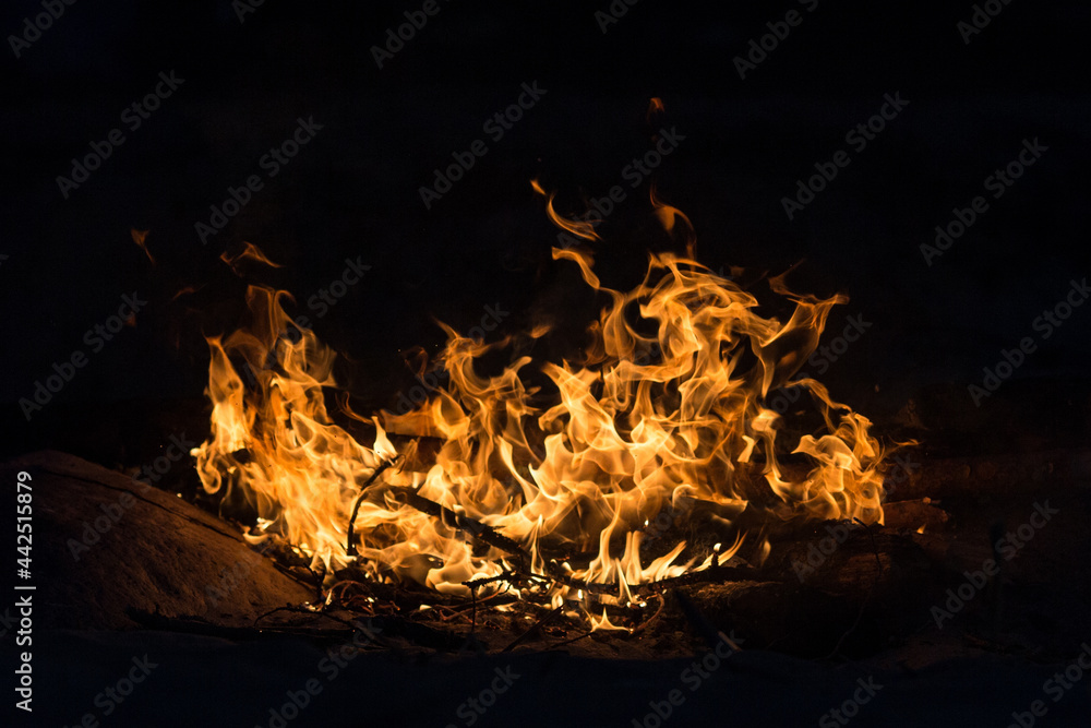 A bright bonfire on a solid black background. Flames of fire look like ...