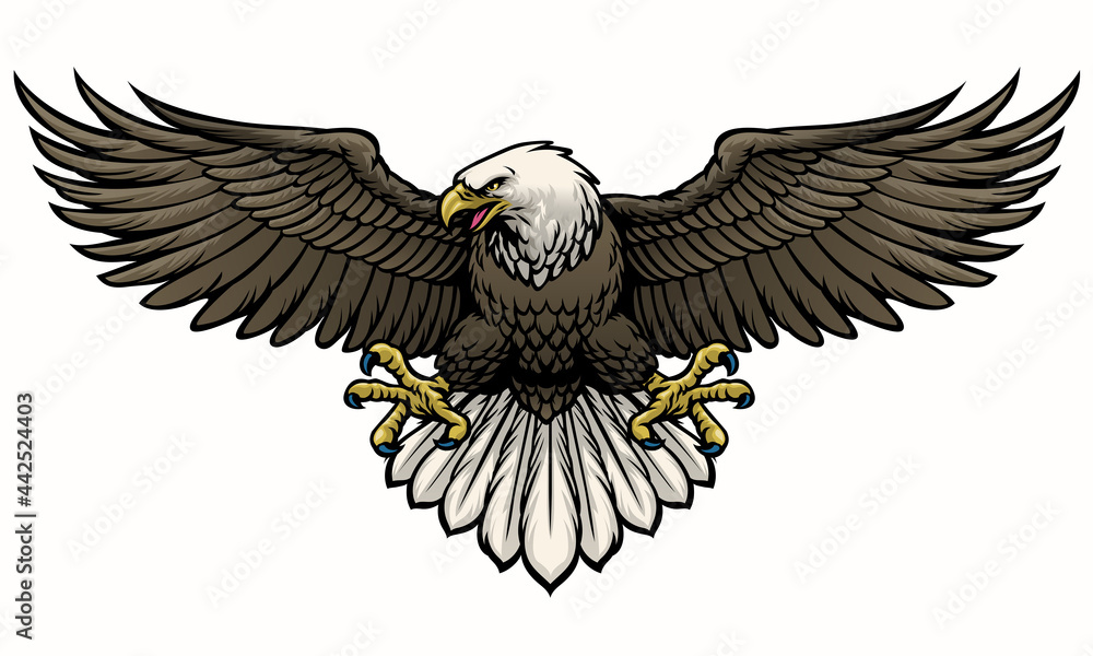 hand drawn bald eagle spreading the wings Stock Vector | Adobe Stock