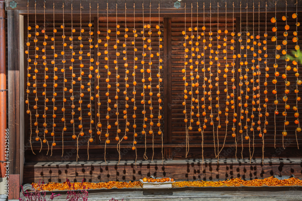 persimmons, sun drying fruit, sun drying persimmons, traditional ...