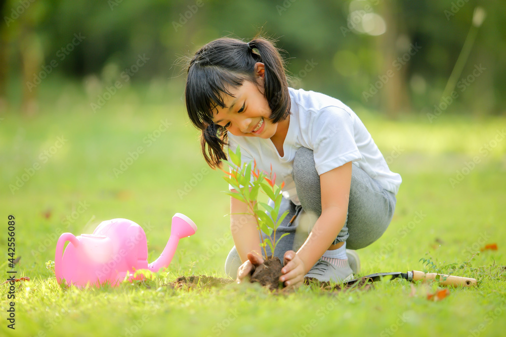 Cute little girl asia planting young tree on black soil in the park ...