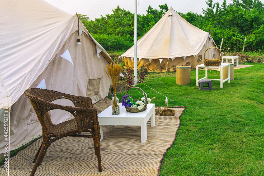 Holiday tents and lounge areas on green lawn place among trees at ...