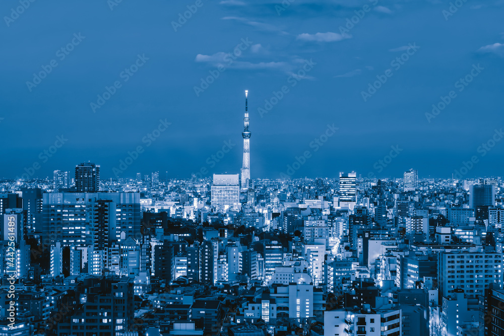 Aerial view of Tokyo Skytree. Downtown skyline, urban city in Japan ...