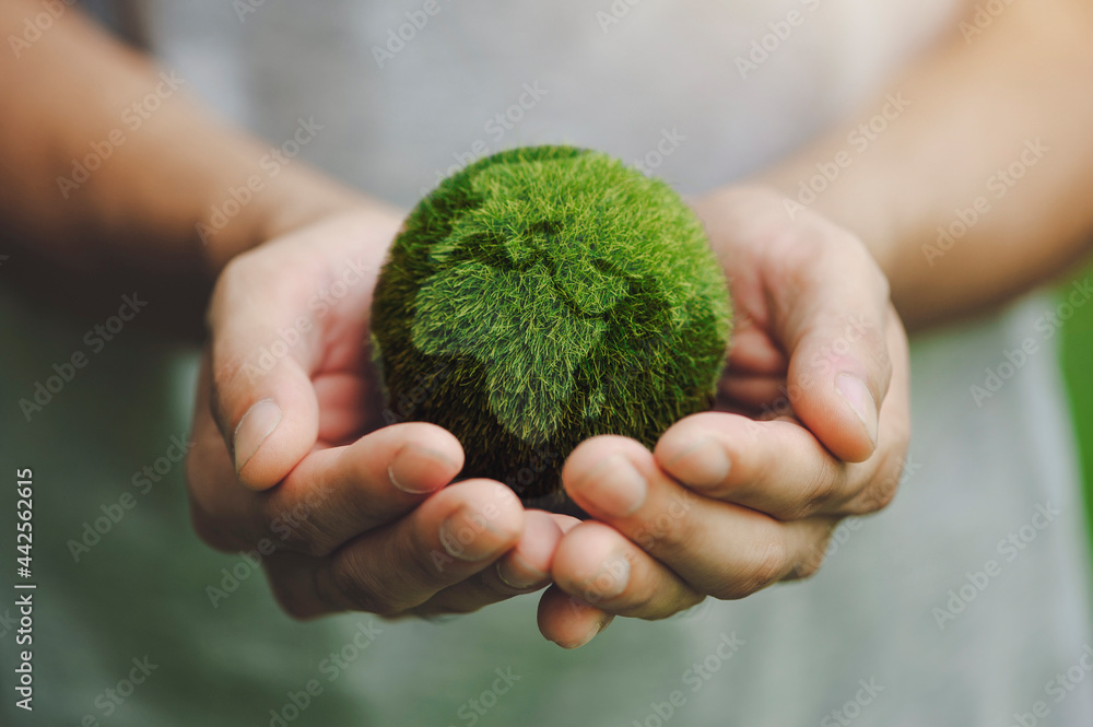 Close up of hands holding the earth on a green background. protect ...