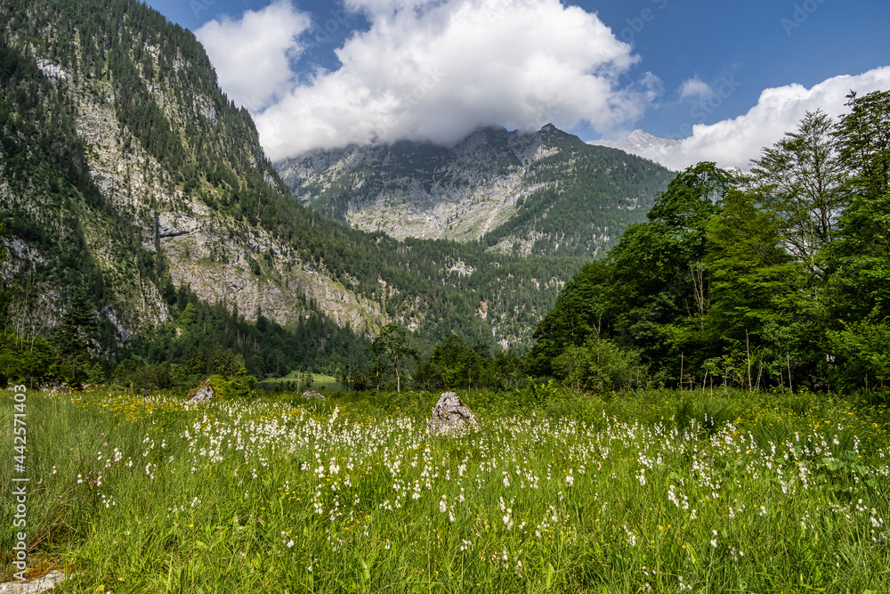 Path to Obersee Lake behind the Watzmann massif, Salet at Koenigssee ...