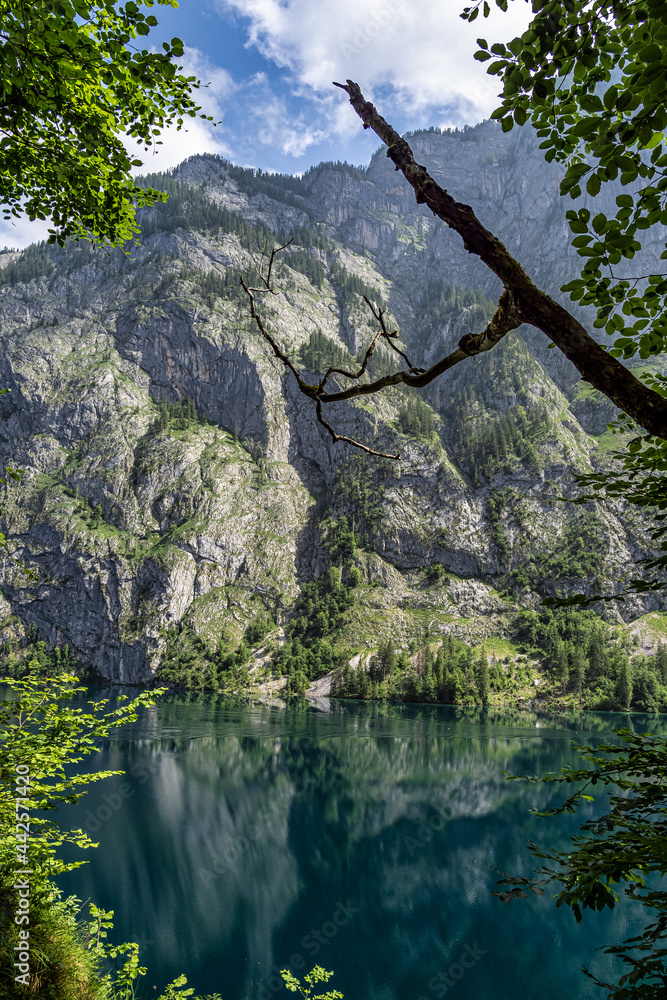 Obersee Lake behind the Watzmann massif, Salet at Koenigssee ...