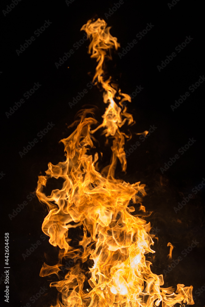 A bright bonfire on a solid black background. Flames of fire look like ...
