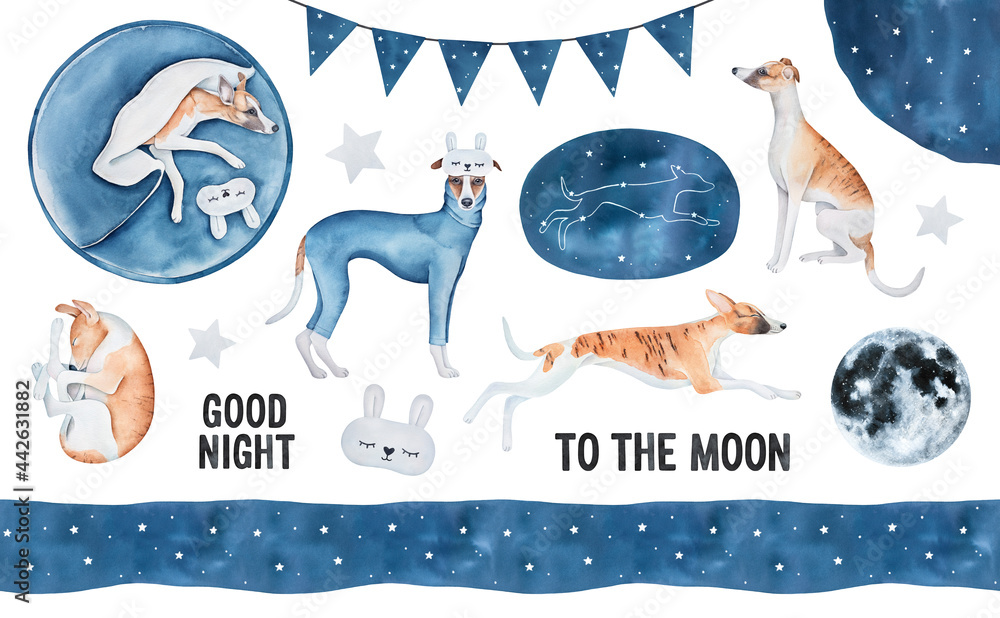 Hand drawn water color drawing set with cute stylish hound, beautiful stars, romantic moon ...