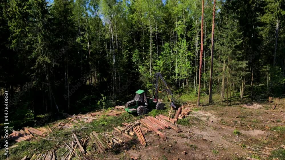 Forwarder during clearing forest after trees cutting. Arial view of the ...