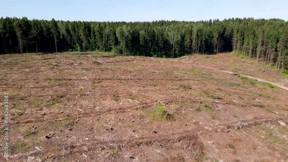 Arial view of deforestation and illegal logging in forest. Cutting ...