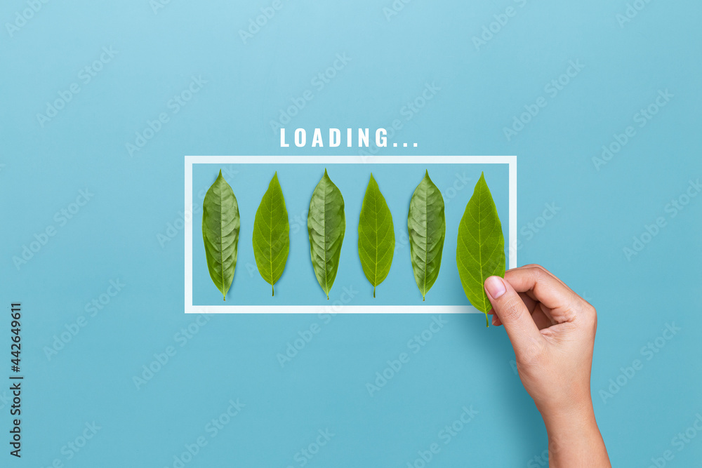 Loading status. Hand putting leaf for loading the progress bar on blue ...