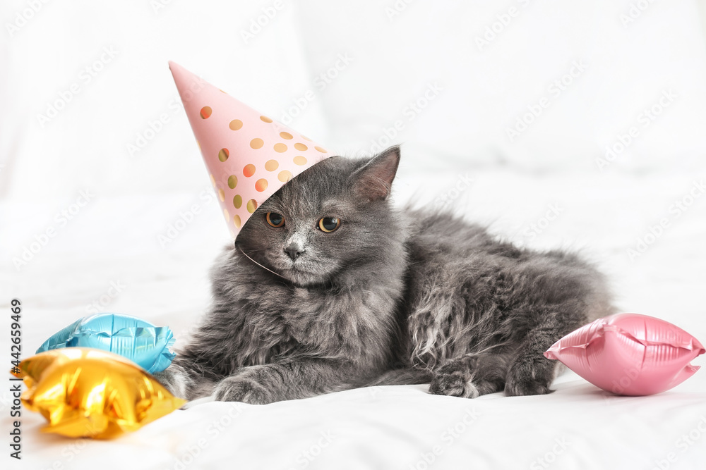 Cute cat in party hat at home Stock Photo | Adobe Stock