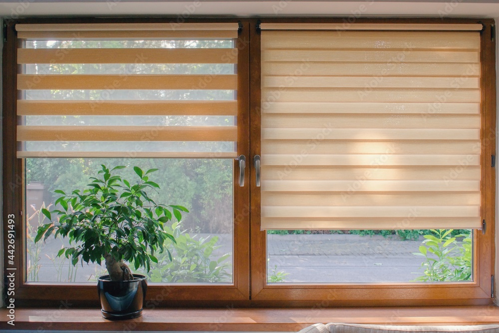 Window roller, duo system day and night. Cozy home interior. Stock ...