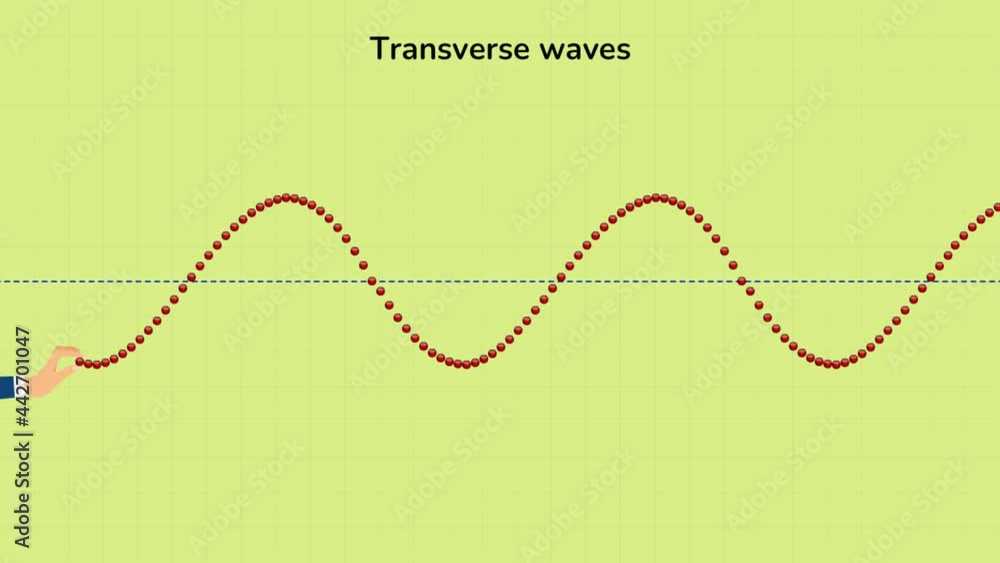 Transverse Waves, 2D animation video of Transverse Waves. Animated 4K ...