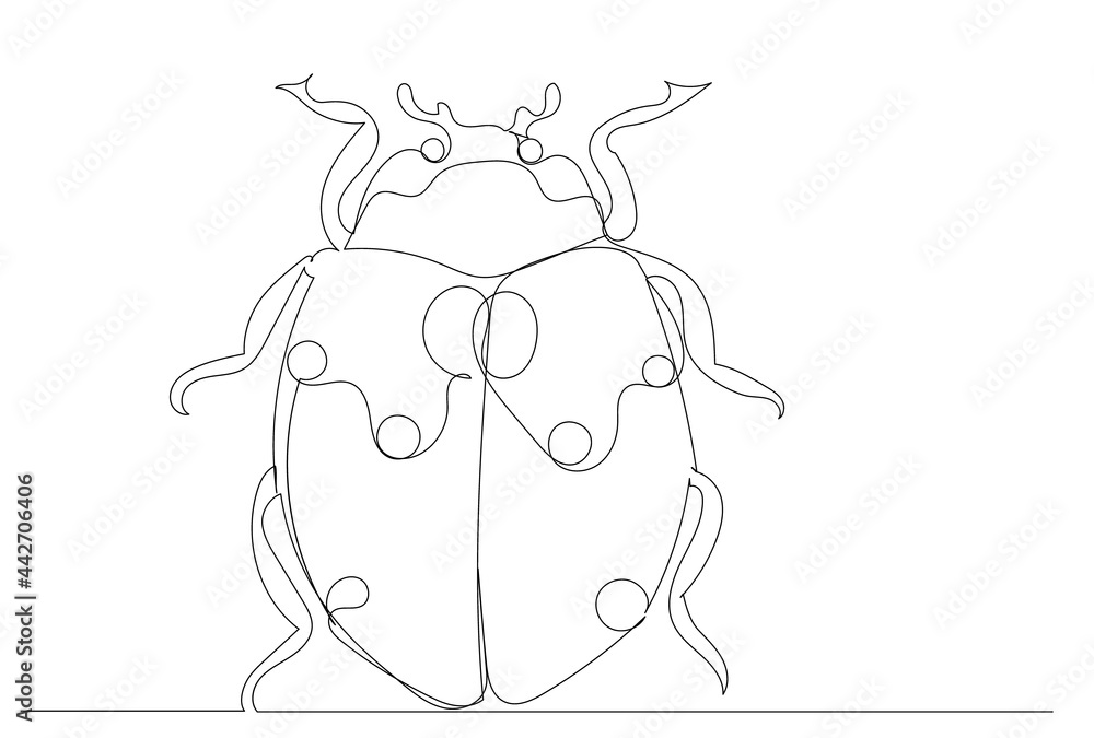 ladybug drawing by one continuous line sketch, isolated, vector Stock ...