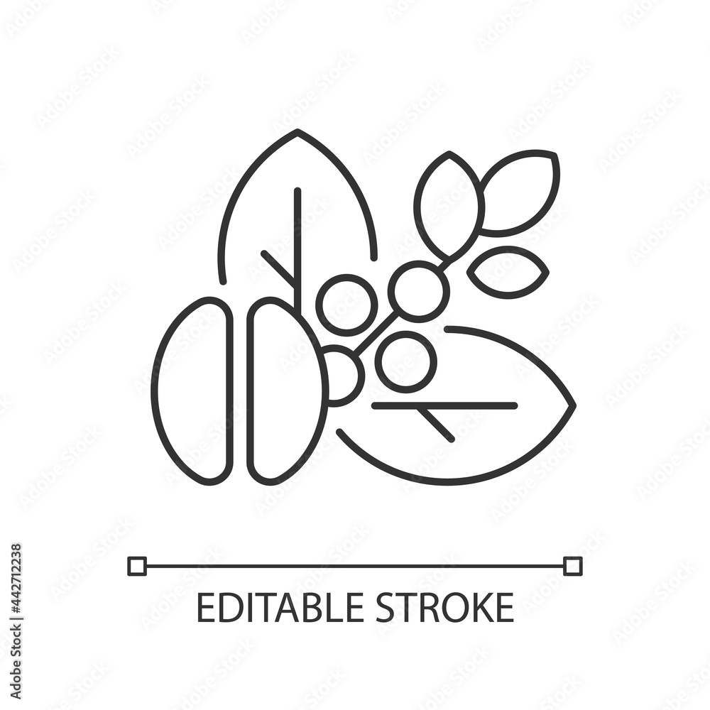 Raw coffee beans linear icon. Unprocessed arabica. Unroasted robusta ...