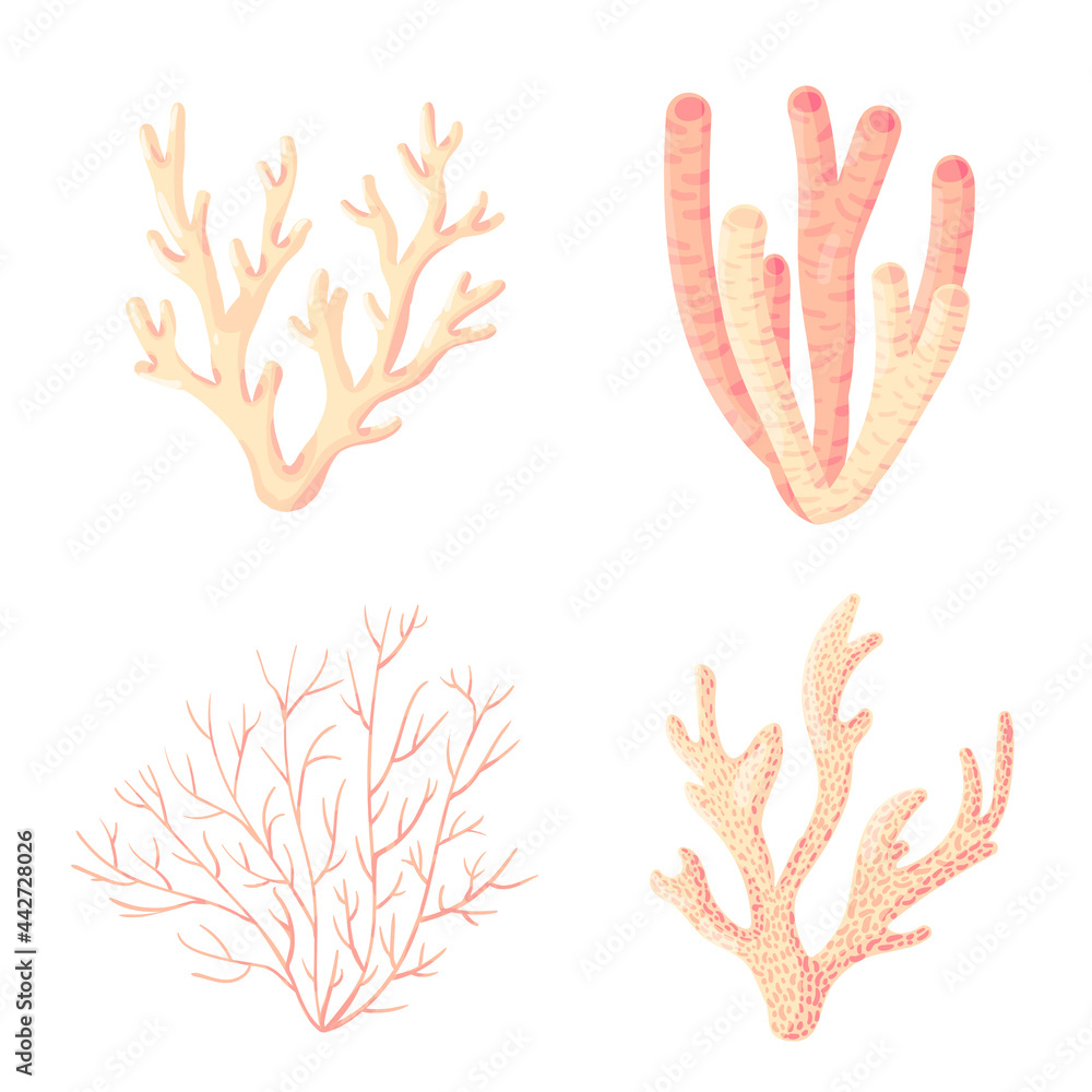 Coral, polyps vector underwater plants. Aquarium, ocean and undersea ...