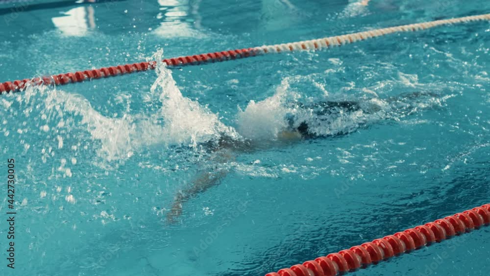Successful Male Swimmer Racing, Swimming in Olympic Swimming Pool ...