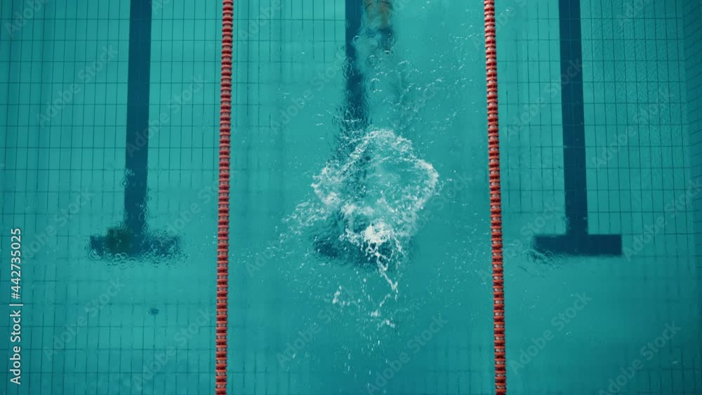Aerial Top View: Beautiful Female Swimmer Diving in Swimming Pool ...