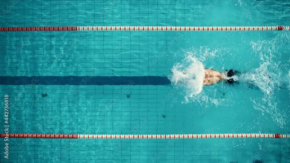 Aerial Top View: Muscular Male Swimmer in Swimming Pool. Professional ...