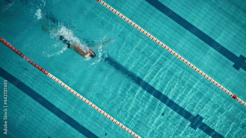 Vídeo do Stock: Aerial Top View: Muscular Male Swimmer in Swimming Pool ...