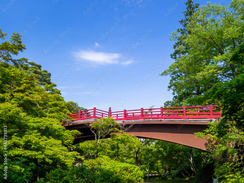 Red bridge at mid of Japanese maple trees with fresh green leaves in a ...