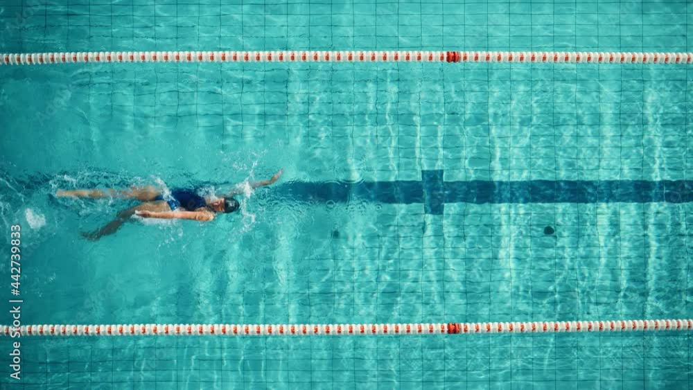 Aerial Top View: Athletic Female Swimmer in Swimming Pool. Professional ...